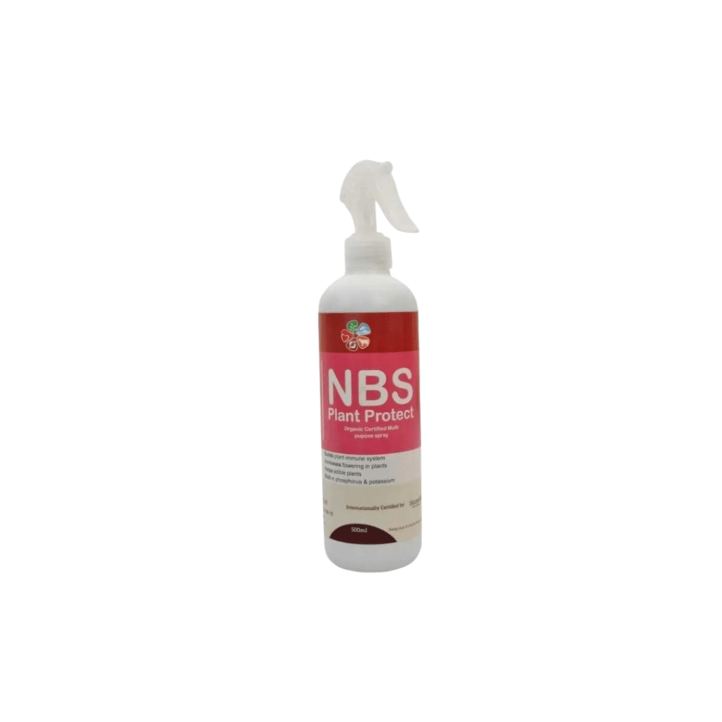 NBS Products
